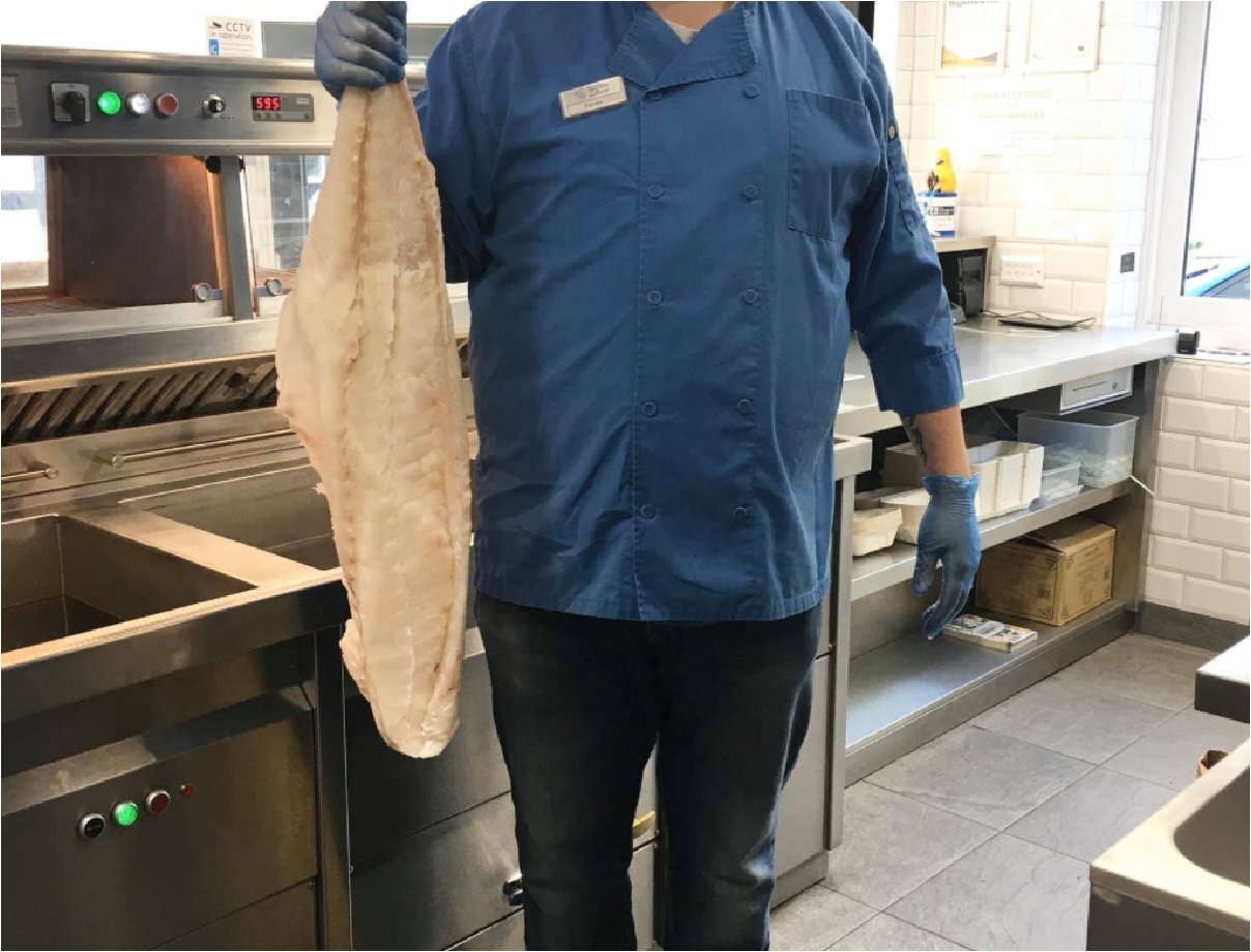 Discover More About Fiddlers Elbow Fish - Fiddlers Elbow